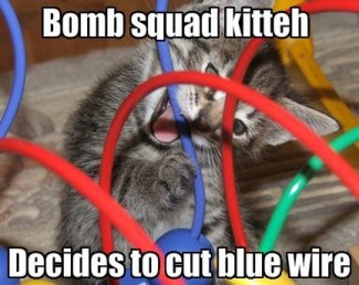 Bomb Squad Kitteh