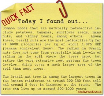 Naturally Radioactive Foods