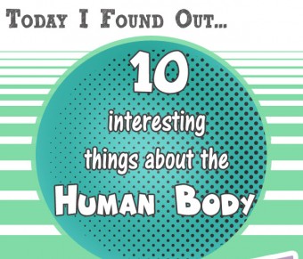 10 Interesting Things About The Human Body