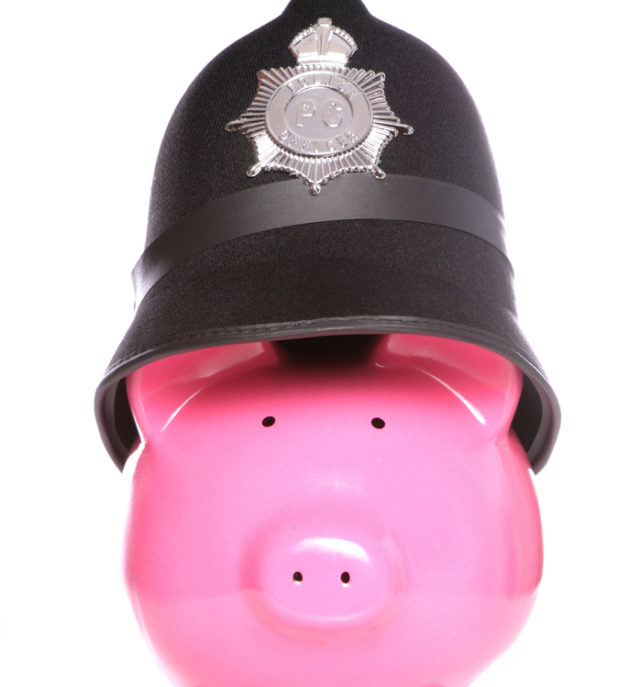 Why Police Officers are Sometimes Called "Pigs" and Why "Poindexter" is ...