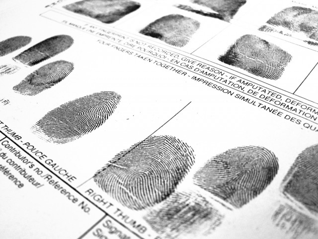 How Do Fingerprints Form and Can They Regenerate?