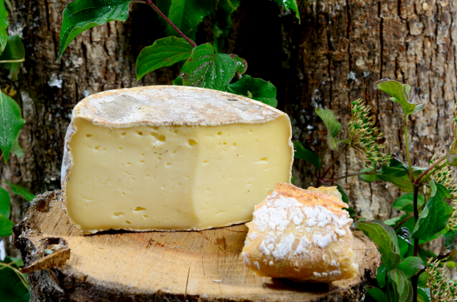 French-Cheeses-Savoie