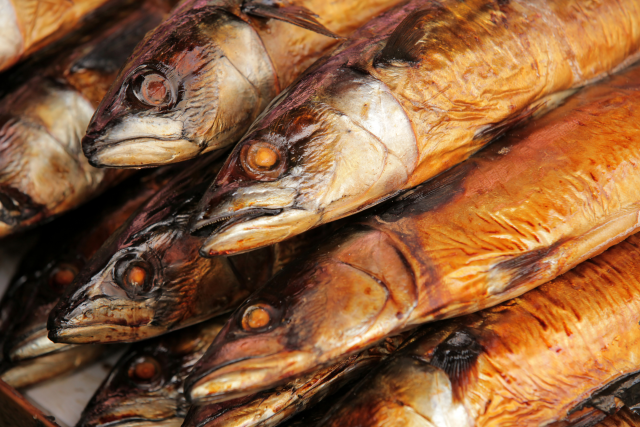 How the Phrase "Red Herring" Came to Mean Something That is Misleading