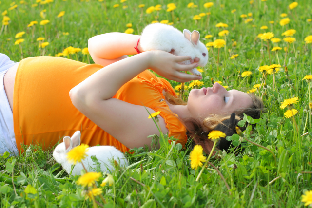 The Surprisingly Recent Time Tests Using Rabbits and Frogs Were the ...