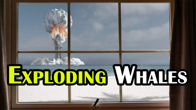 The Curious Case of Exploding Whales