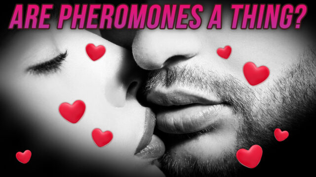 Do Humans Have Pheromones?