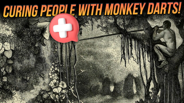 The Amazonian Arrow Poison that Revolutionized Medicine