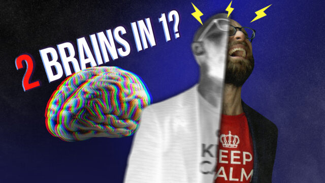 The Curious Case of the People With Split Brains